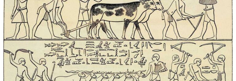 Animals in Ancient Egypt: Sacred Animals of Ancient Egypt